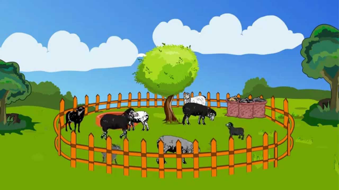 Baba black Sheep Nursery Rhyme | Rhymes For Children - YouTube