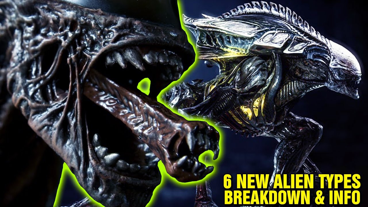 Aliens: Fireteam - 6 New Alien Types - Breakdown and Analysis ...