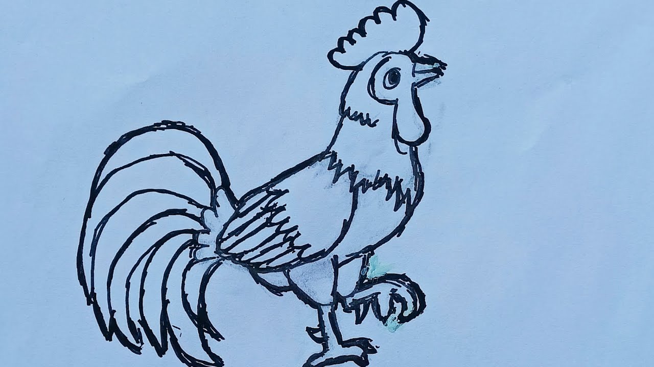 HOW TO DRAW EASY ROOSTER /SKETSA MENGGAMBAR AYAM JAGO JAGO ala low ...