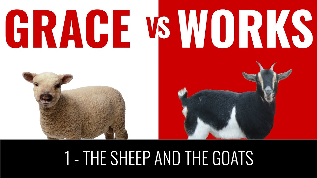 The sheep and the goats (Grace vs Works #1) - YouTube