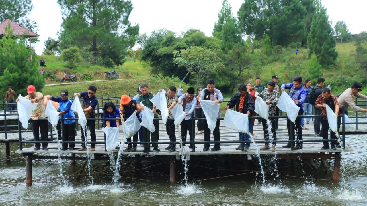 Bupati Samosir Tabur Benih Ikan Nila di Objek Wisata Aek Natonang - YouTube