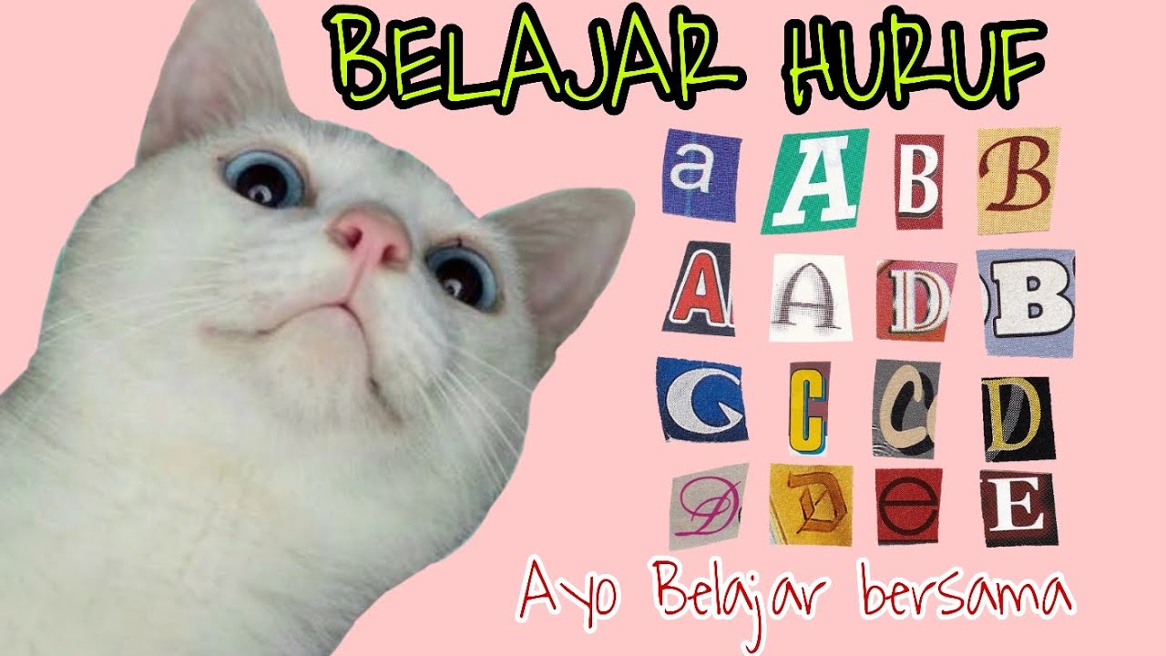 Belajar Membaca Huruf Abjad Bersama Kucing Lucu | Mengenal Huruf Abjad ...