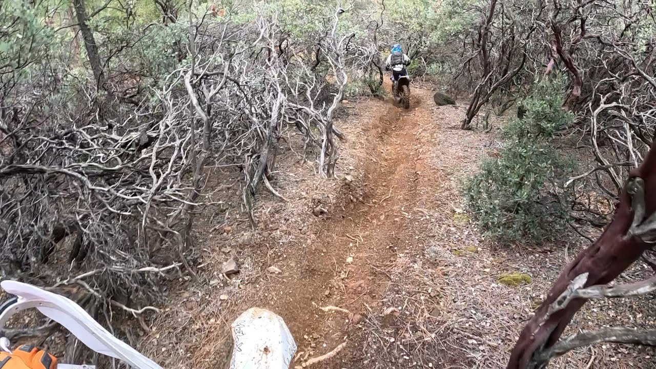 3/25/23 Rippin' with Alex @ Chappie - Shasta OHV - YouTube