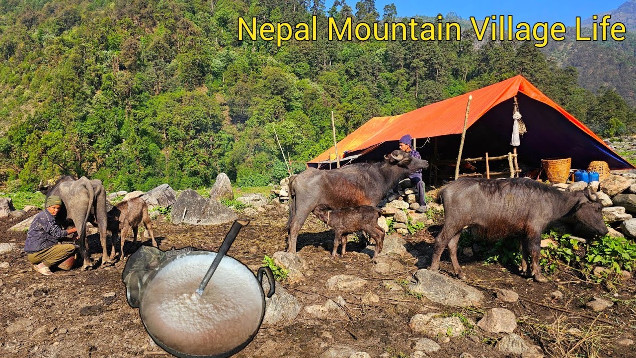 Nepal Mountain Village Life | Primitive Way to Make Rice Pudding in ...