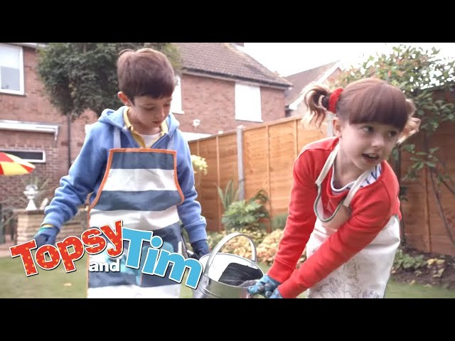 Family Tree | Topsy & Tim | Cartoons For Kids | WildBrain Kids - Videos ...