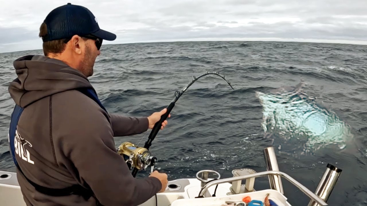 Fishing for GIANT Bluefin Tuna - Barrels of Portland !! - YouTube