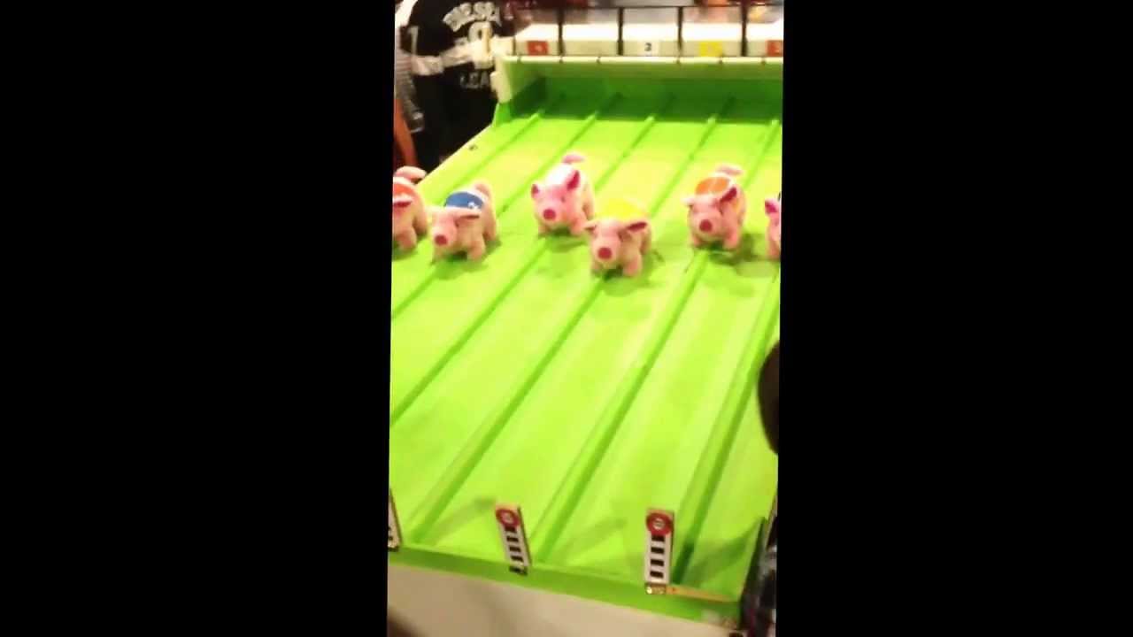 And they're off. Pig race night was great fun - YouTube