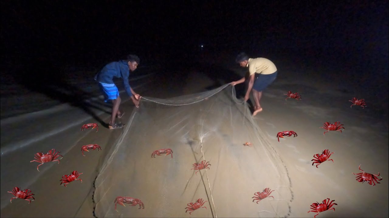 Red Crabs🦀 Catching at Night Time 😰| I'm Catching the Fast Moving Crabs ...