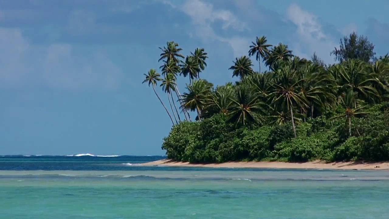 Lagoon and Palm Trees HD - YouTube