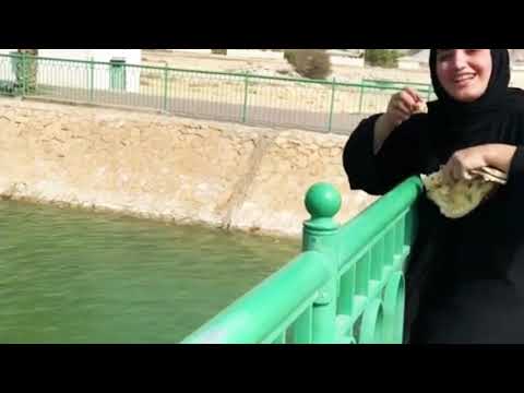 My YouTube New Video Dubai UAE | By Ziba Gulley Fans