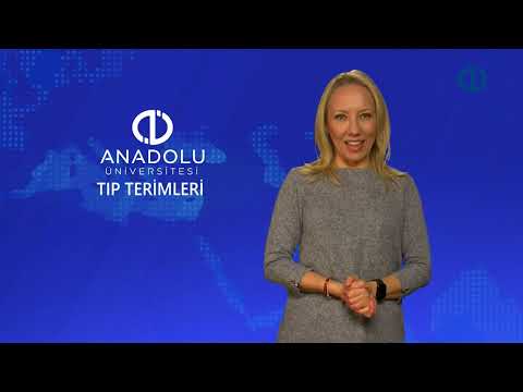TIP TERİMLERİ - Ünite 2 Konu Anlatımı 1