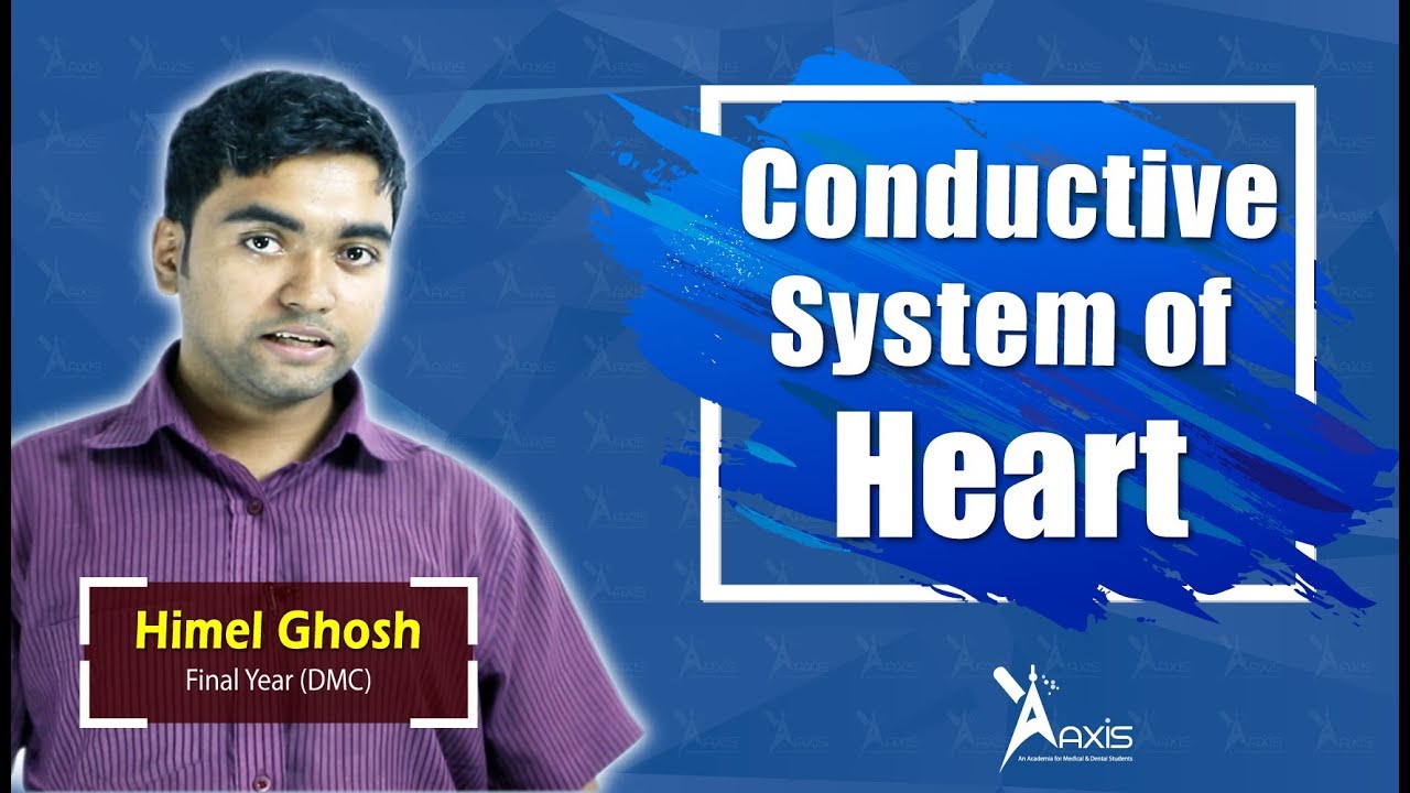 Conductive System of Heart II Himel Ghosh (বাংলা) - YouTube
