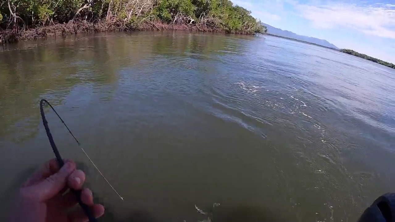 Hinchinbrook fishing 2020 - YouTube