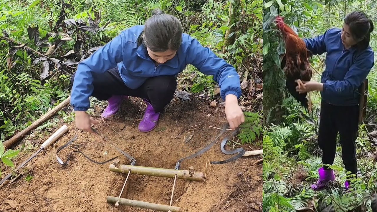 FULL VIDEO: CHICKEN TRAP, GARDENING, ANIMAL CARE, FARM BUILDING - YouTube