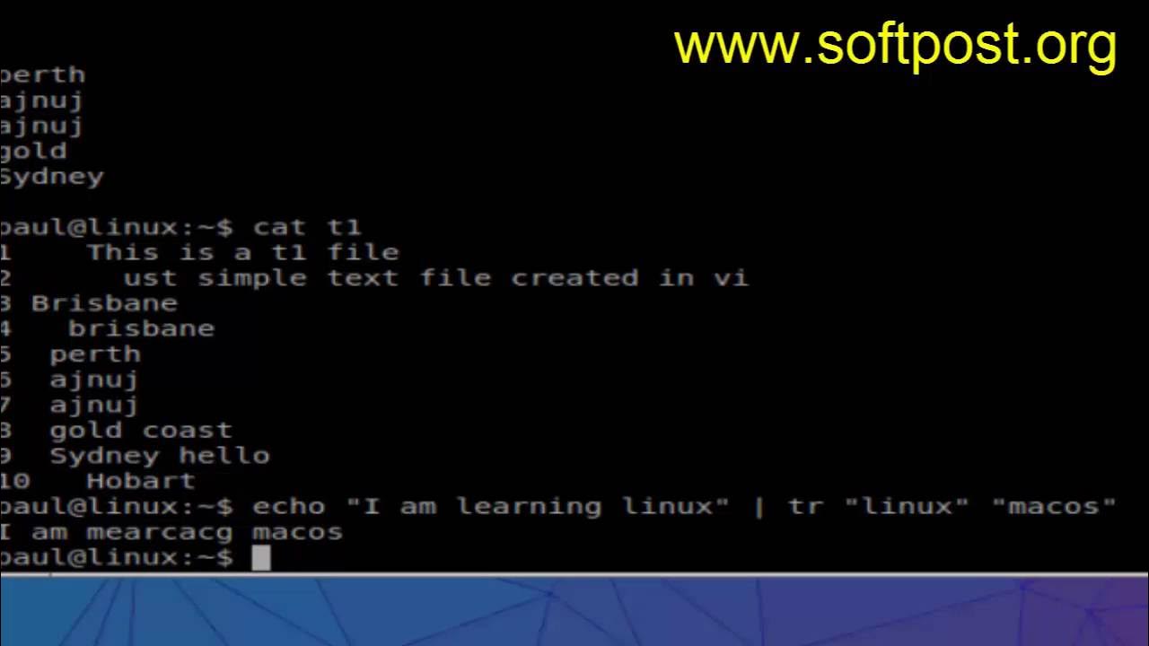 Difference between grep, cut, tr, sed and awk in Unix - YouTube