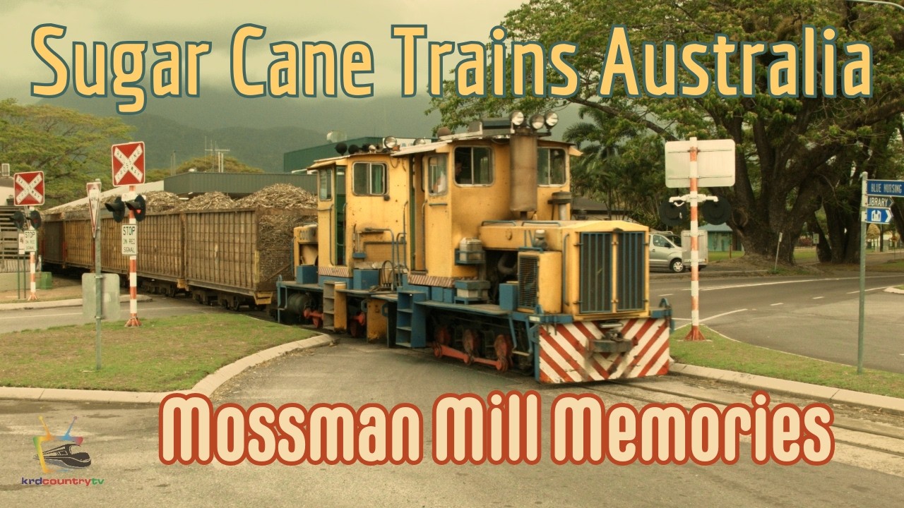 Sugar Cane Trains Australia: Mossman Mill Memories - the Director's Cut ...