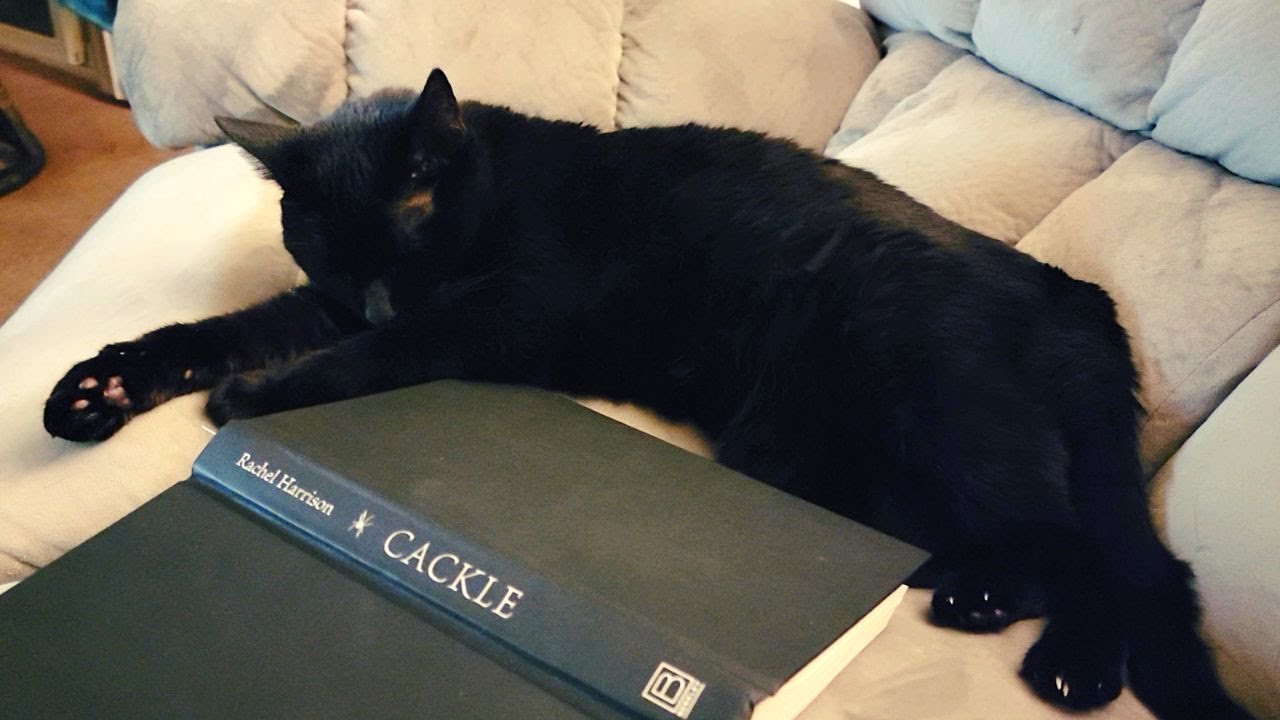Hallowreads Readathon ~ Book VLOG #2, Cackle by Rachel Harrison - YouTube