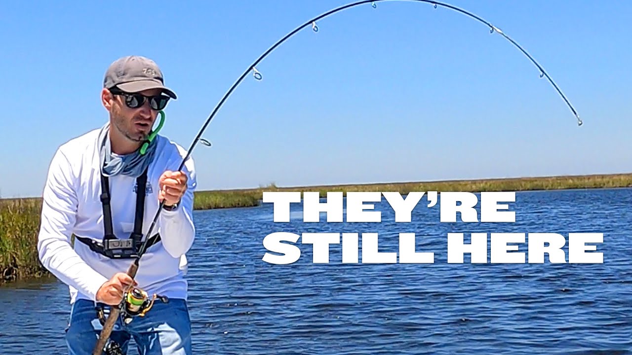 I left the trout BITING with this simple technique - YouTube