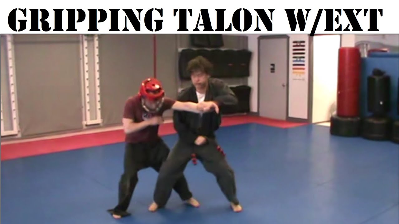 Kenpo Gripping Talon with Extension | Self-Defense Technique Against ...
