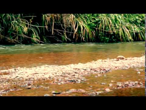Calima Darien - Valle del Cauca - YouTube