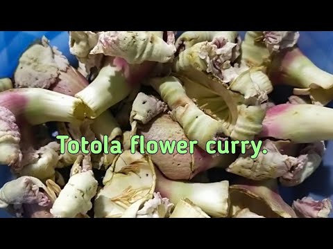 Totola flowers curry// Totola phool ko sabji( Lepcha tree)#Sanchal ...