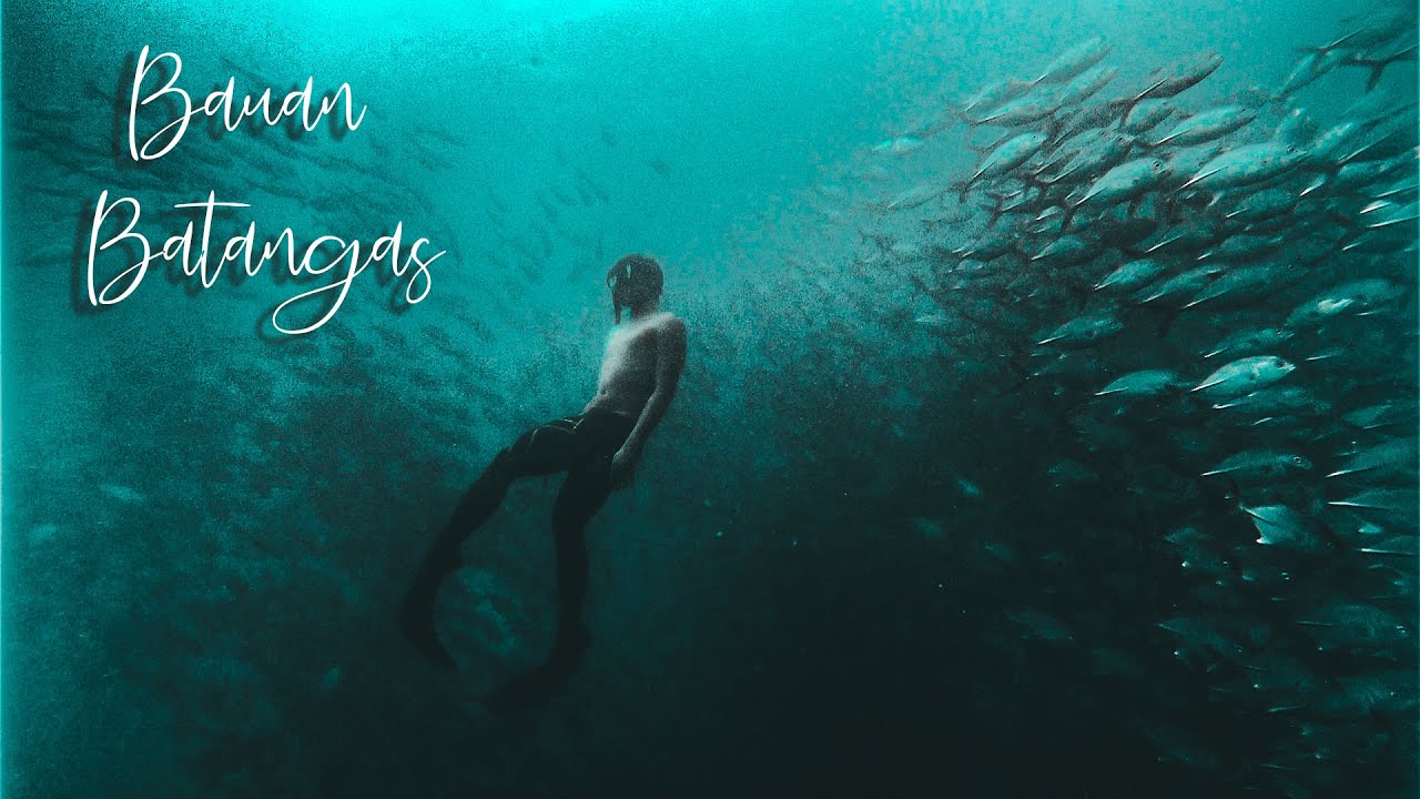 SEAngle Breath Freedivers 101919 - YouTube