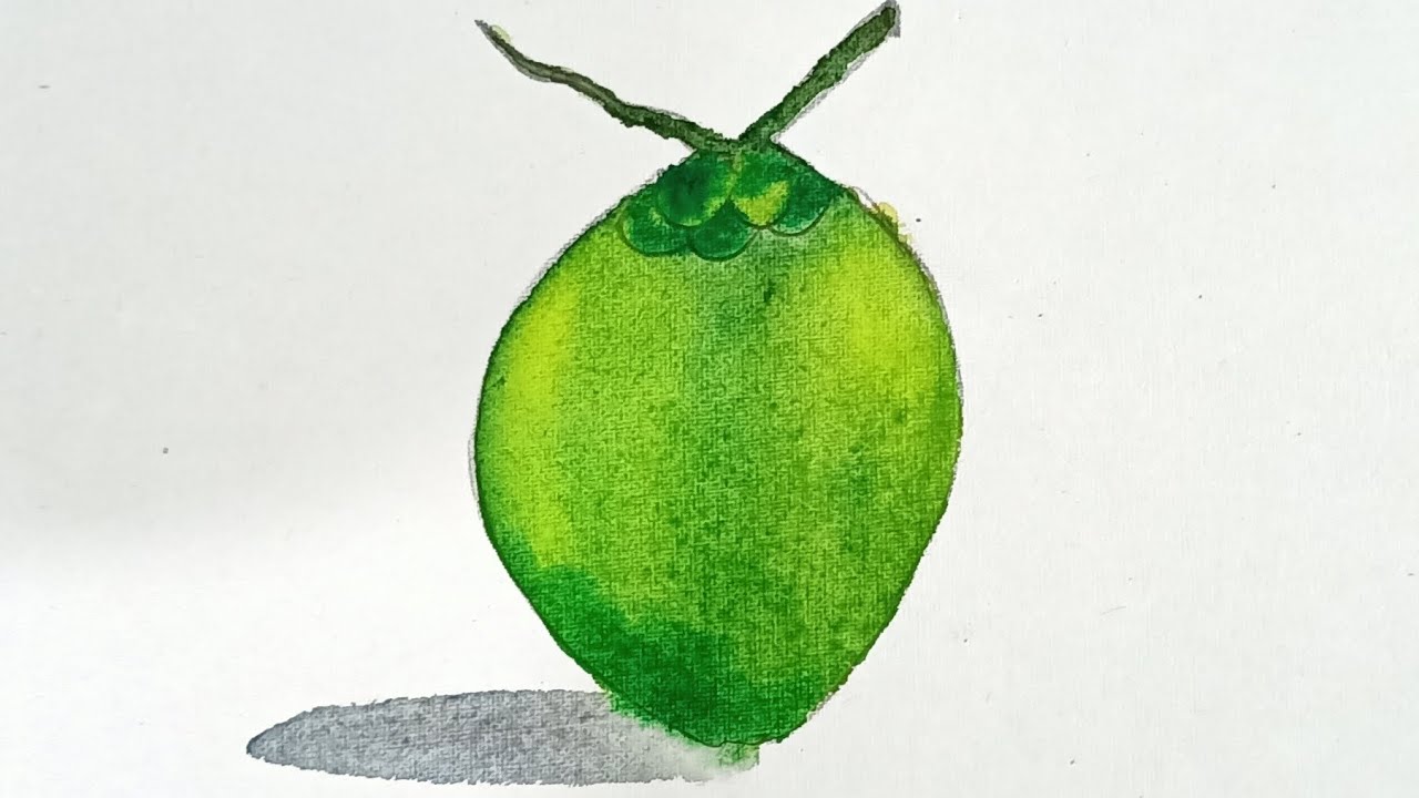 How to draw coconut/step by step for beginners/coconut painting by ...