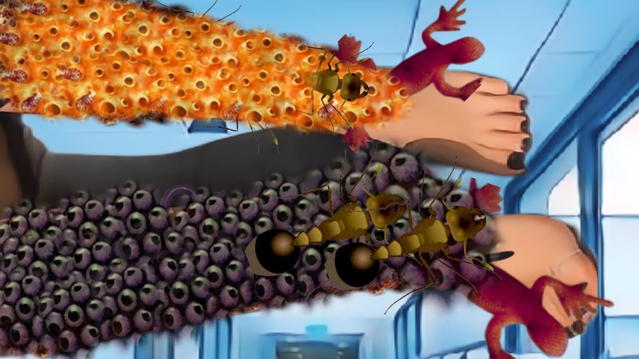 clean dog ticks and maggots legs asmr 2d animation video 🐝 - YouTube