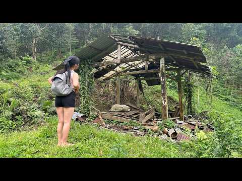 Beautiful girl sets up shelter in an abandoned house | Cooking Relaxing nature sounds & Free living