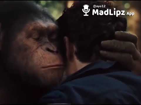 كورى كاري madlipz kurdi