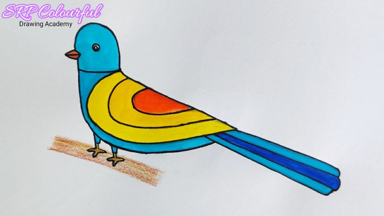 How to Draw a Bird 🐦 easy || step by step for beginners - YouTube