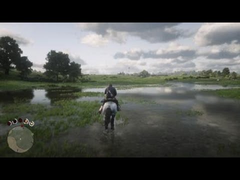 Red Dead Redemption 2 "Toad Location " - YouTube