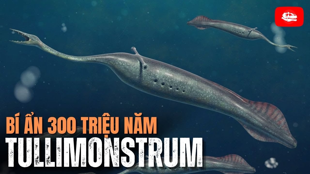 Tullimonstrum: Quái vật bí ẩn 300 triệu năm | Hồ sơ cổ sinh - YouTube