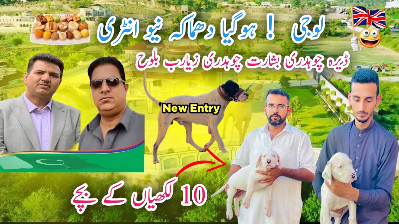 New entry Dera Ch Basharat Balloh Dadyal Azad Kashmir🎉/M Faizan official - YouTube