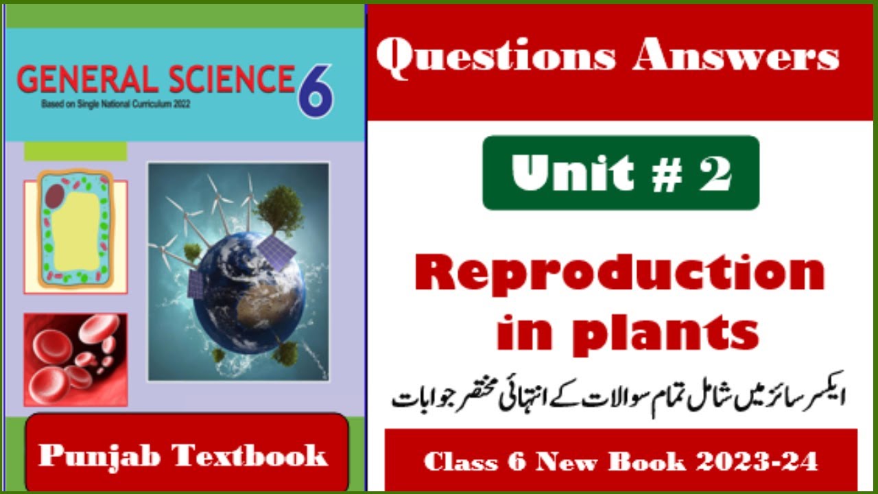 Science Class 6 Chapter 2 Question Answer | Reproduction in Plants ...