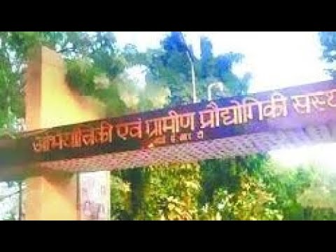 IERT Prayagraj || dance in iert college ♥️ - YouTube