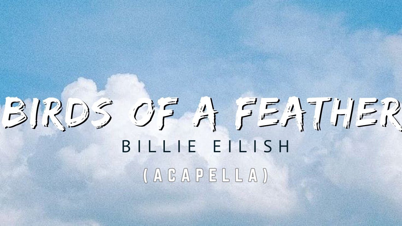 BIRDS OF A FEATHER - Billie Eilish (Acapella), lyrics video - YouTube