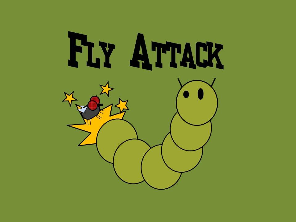 Обзор Fly Attack - YouTube