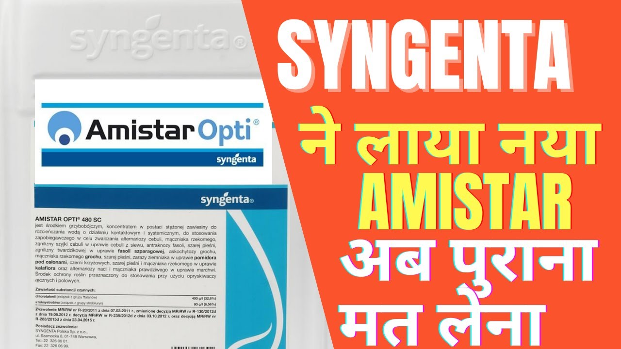 Amistar Opti New Launch By Syngenta India Azoxystrobin - YouTube