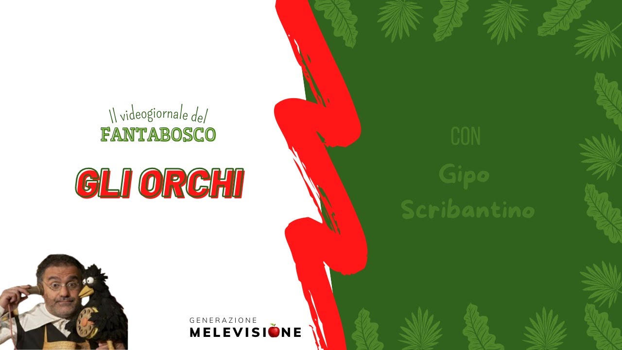 IL VIDEOGIORNALE DEL FANTABOSCO 📰 Gli Orchi - YouTube