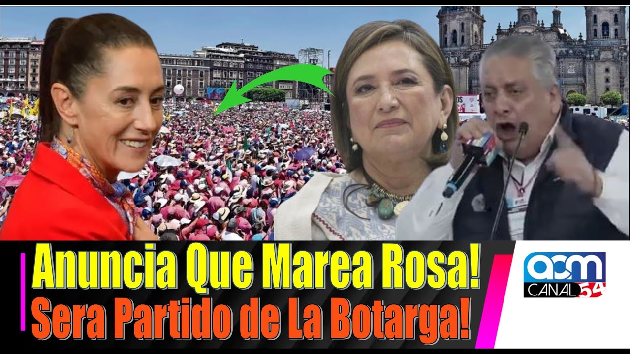 CLAUDIOS SE SALIERON DE CONTROL, MAREA ROSA SERÁ PARTIDO POLÍTICO Y LA ...