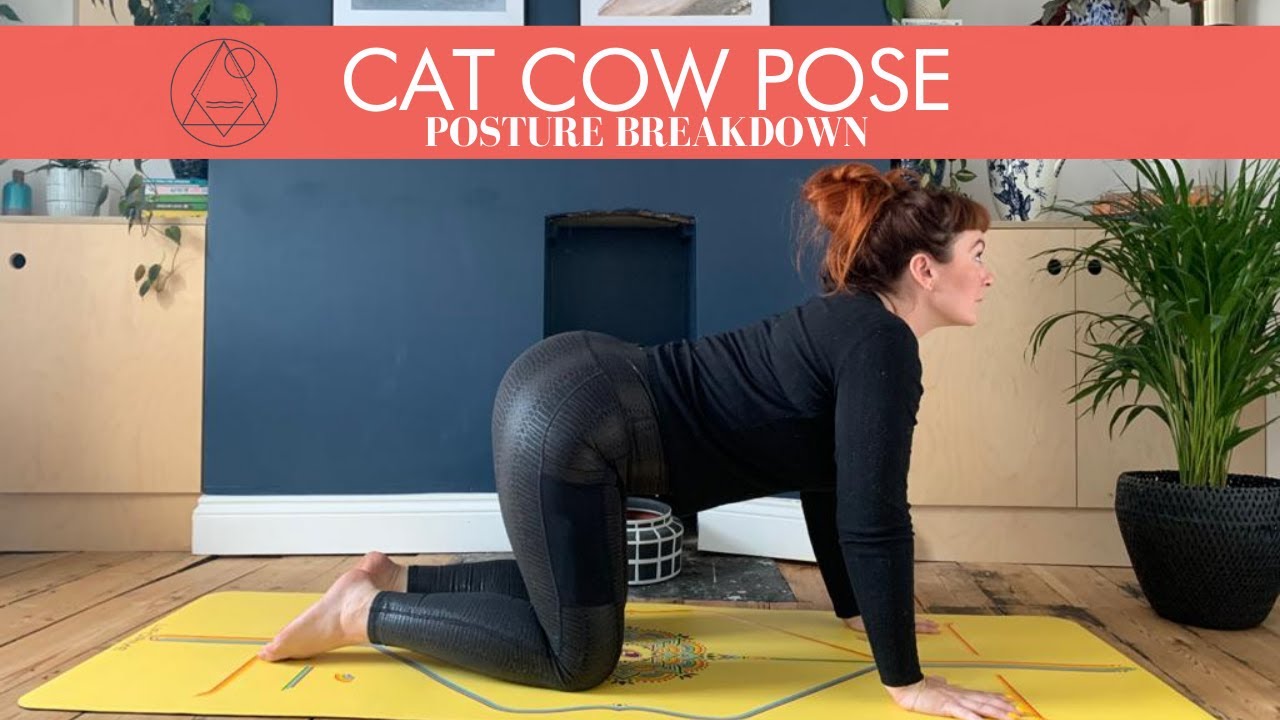 CAT COW POSTURE BREAKDOWN - YouTube