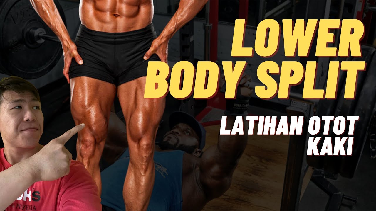 Lower Body Split - Program Melatih Otot Kaki Jadi Lebih Kuat dan Besar ...