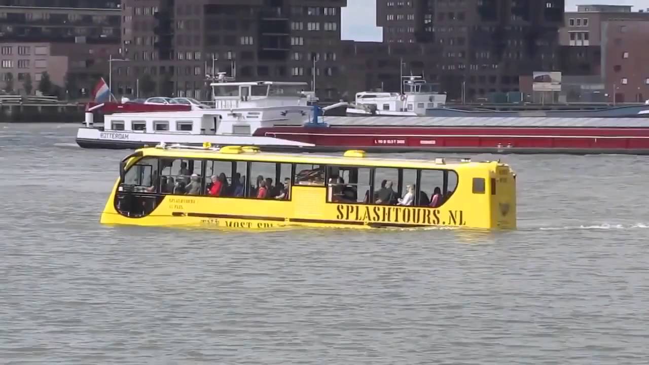 BUS - YouTube