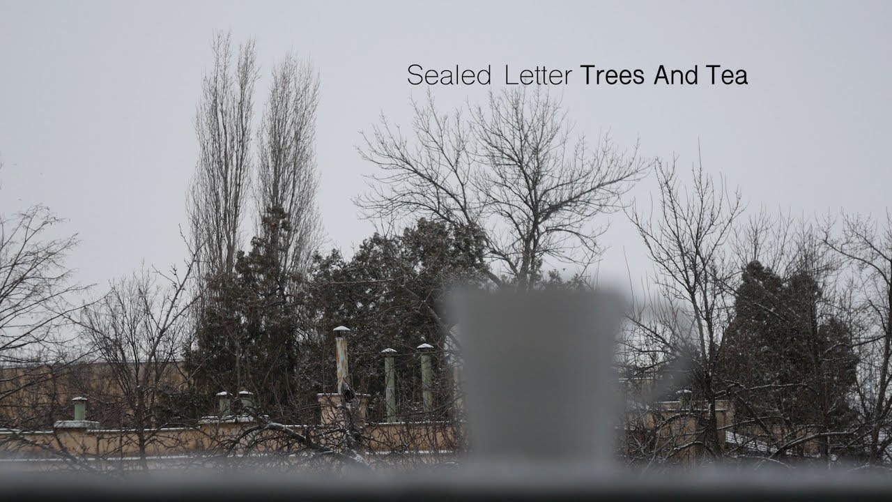 Sealed Letter - Trees And Tea - YouTube