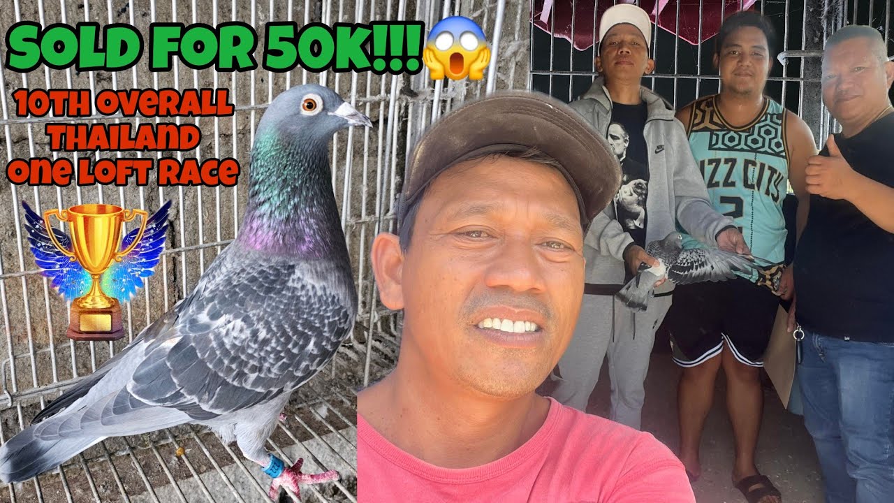 KALAPATING NAG CHAMPION SA THAILAND BINILI NA NG TROPANG TAGA CAVITE 😱 ...