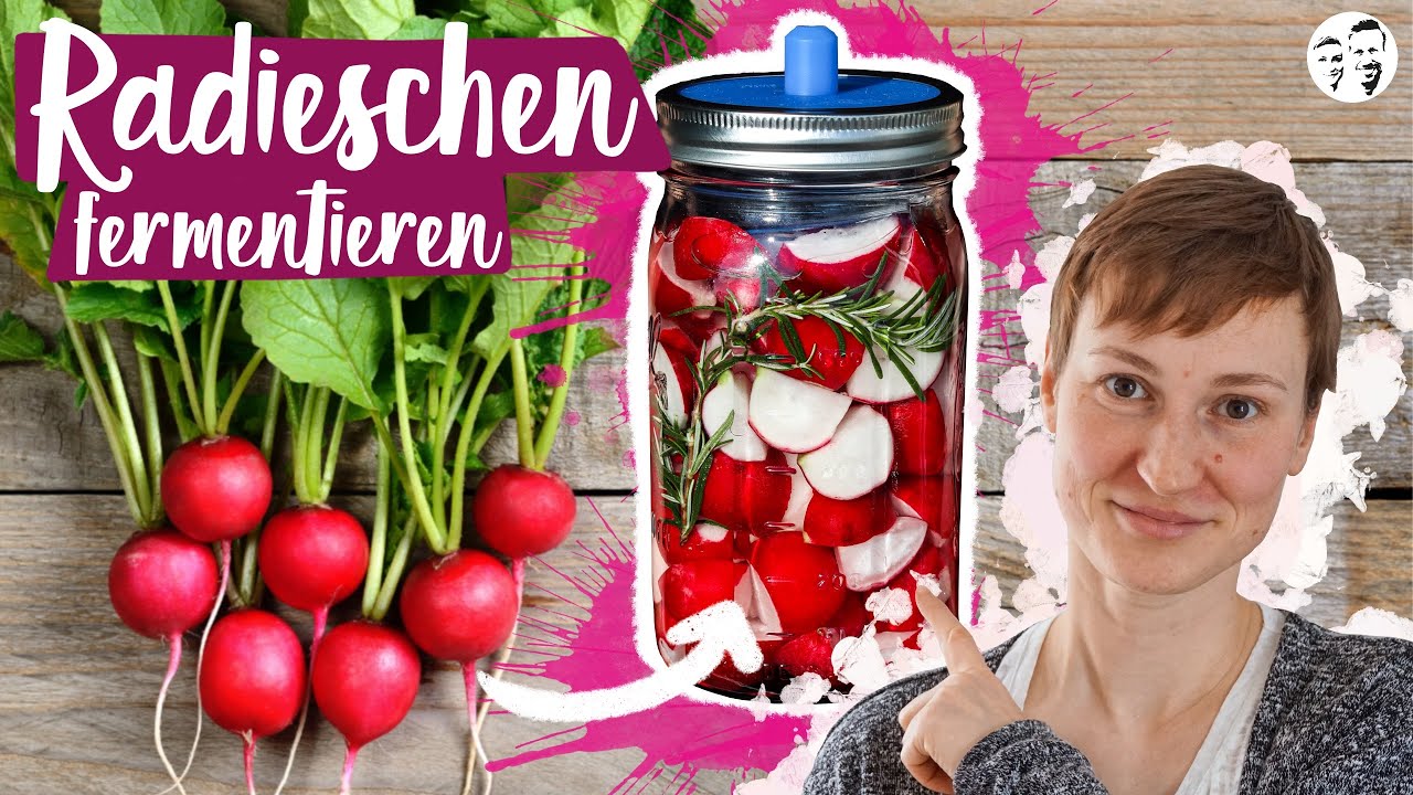 Radieschen fermentieren - Ein einzigartiger Snack für den Sommer - Sauer macht glücklich