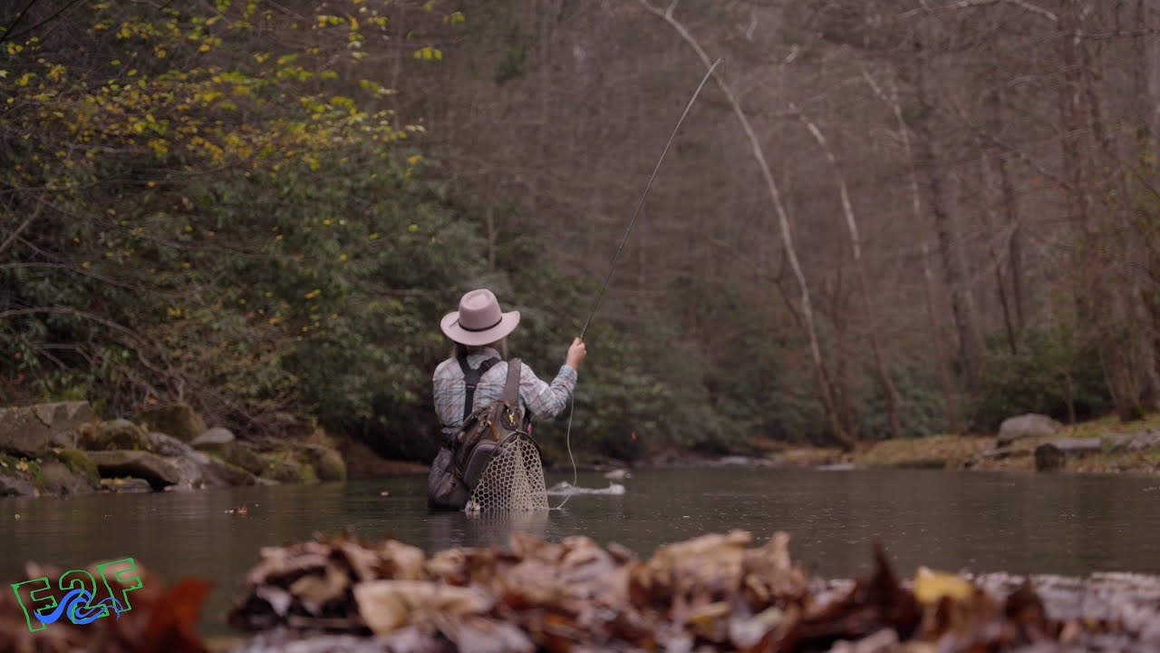 Forced 2 Focus Studios 2024 Demo Reel - YouTube