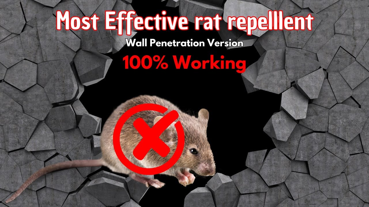 15000Hz, 17500Hz & 20000Hz Ultrasonic Ultimate Extreme Mouse and Rat ...