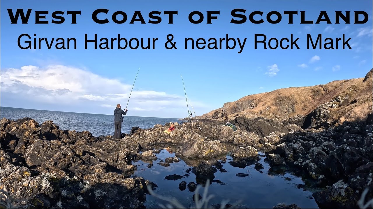 Sea Fishing Scotland - Girvan Harbour & Snib’s Cave - A wee bit success ...